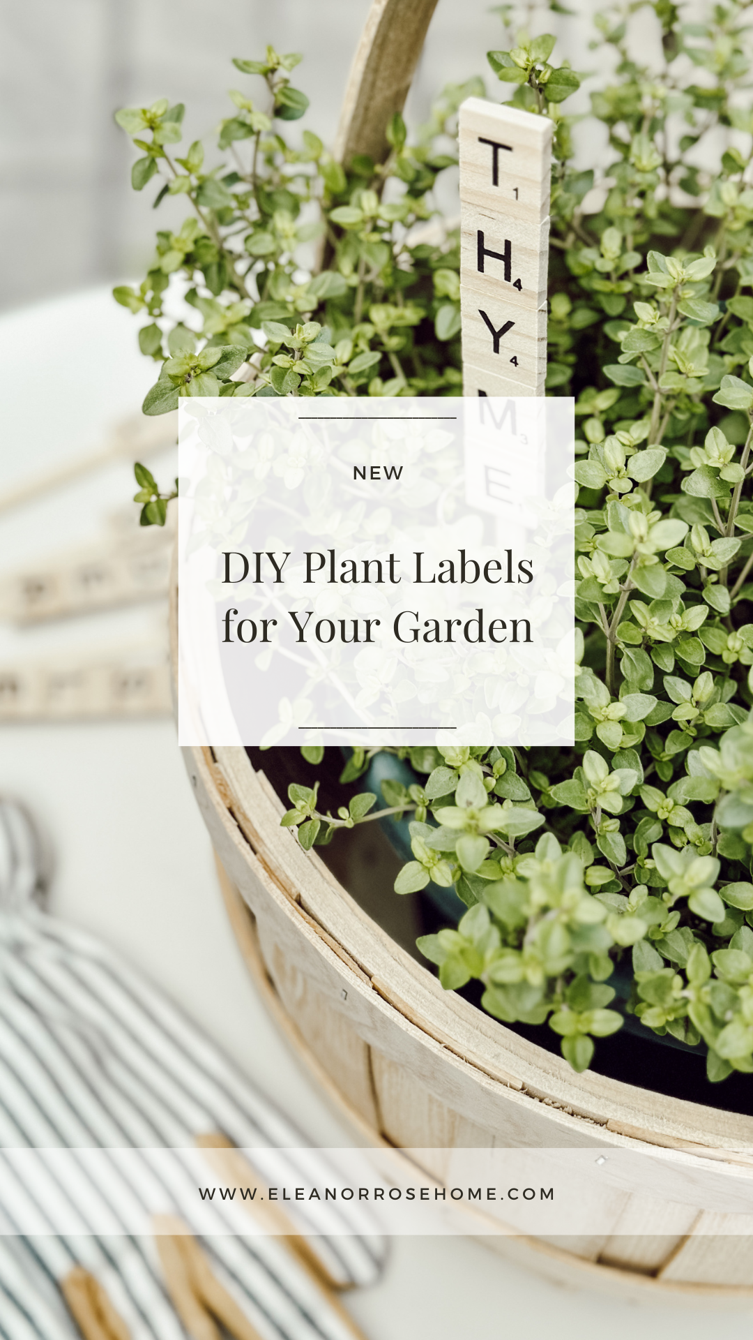 DIY Plant Labels for the Garden