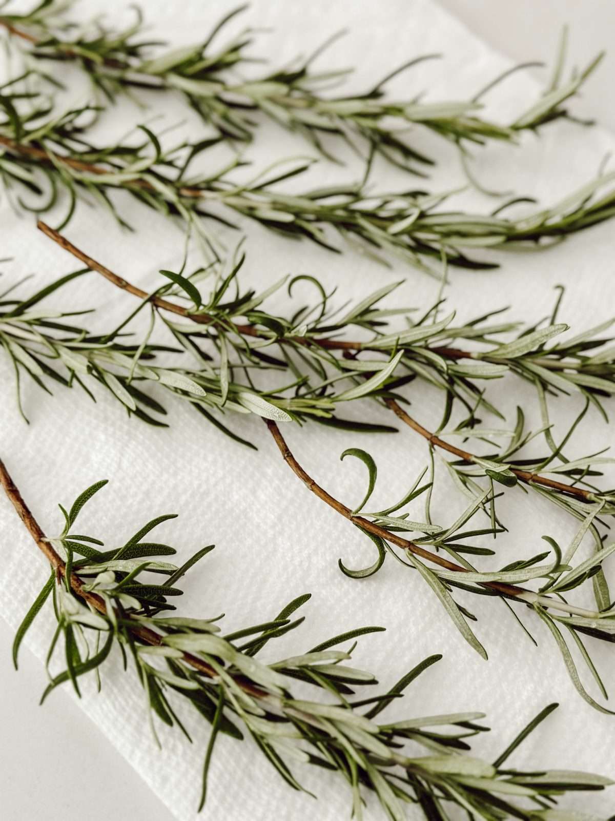 DIY Rosemary Wreath With Fresh Herbs From the Garden