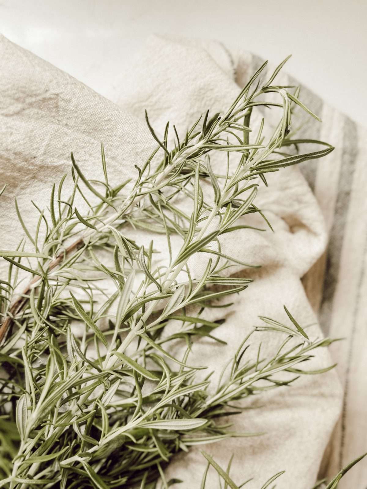 Dried Rosemary Vs Fresh
