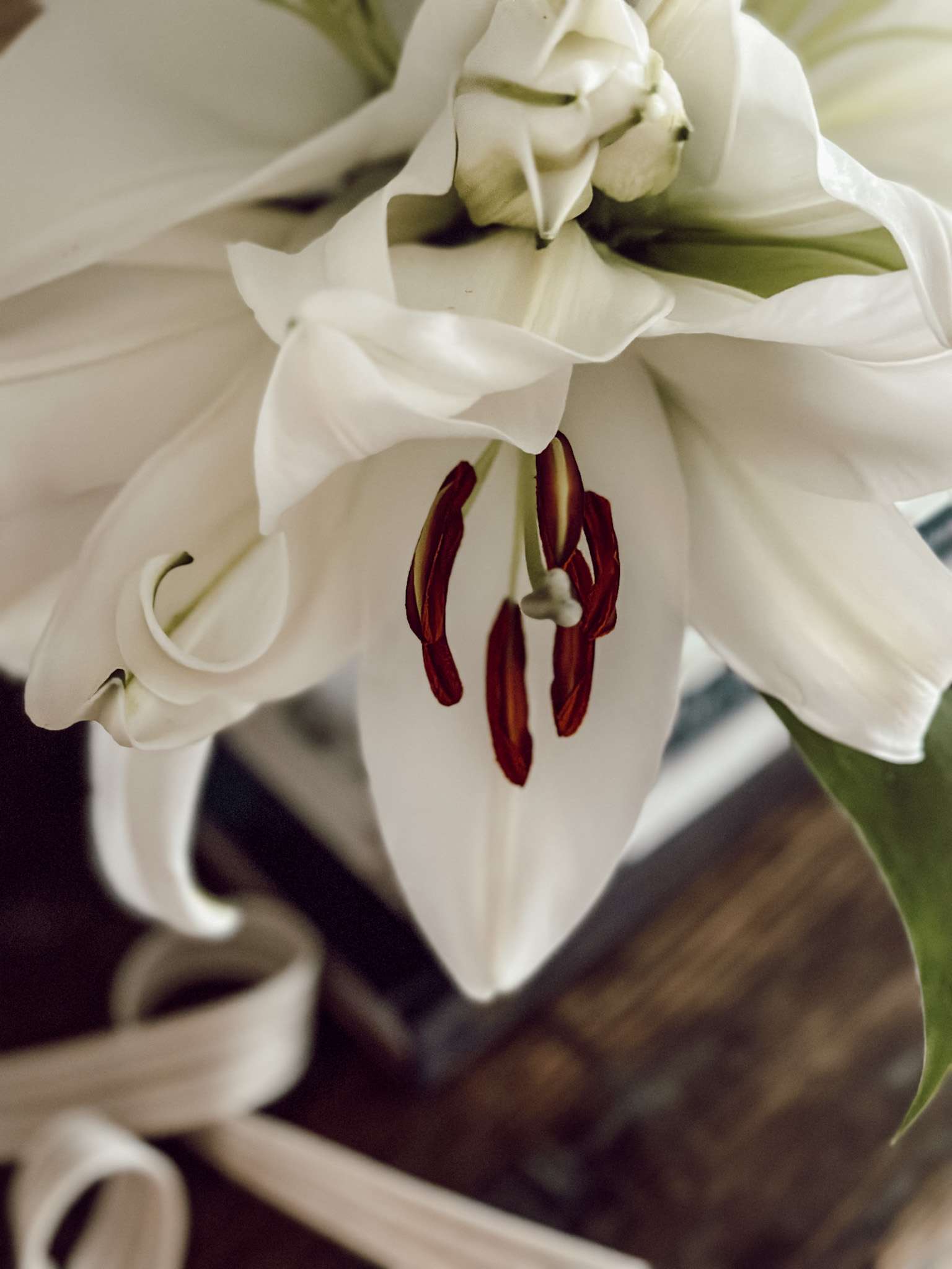30+ Best Traditional Flowers for Easter Decorating